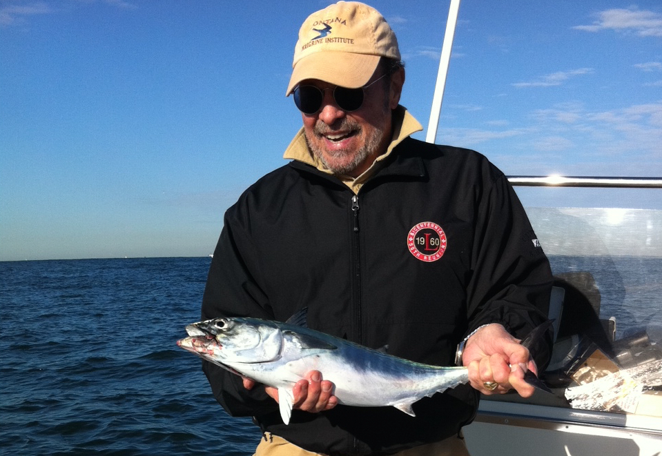 “Why I Got Involved: the Idiocy of Lack of Access” | Waterfront ...